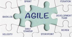 Exploring Crystal Agile Methodology - ITChronicles